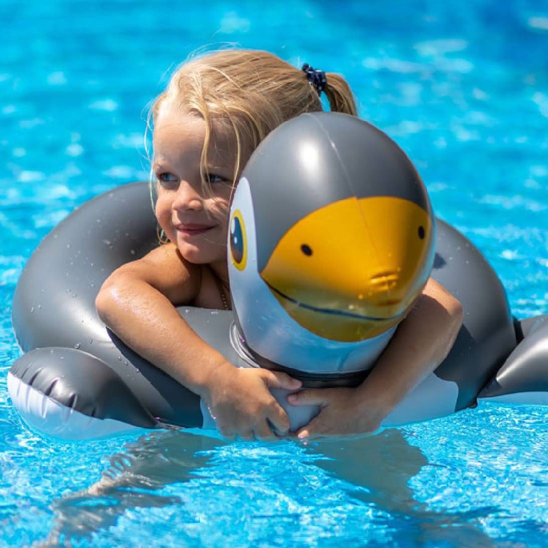 Case Study for Swimming Pool Specialist Company - Launch Media